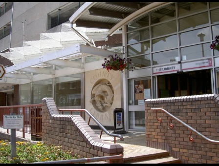 Bear trail and other free fun activities at Taunton library this half-term